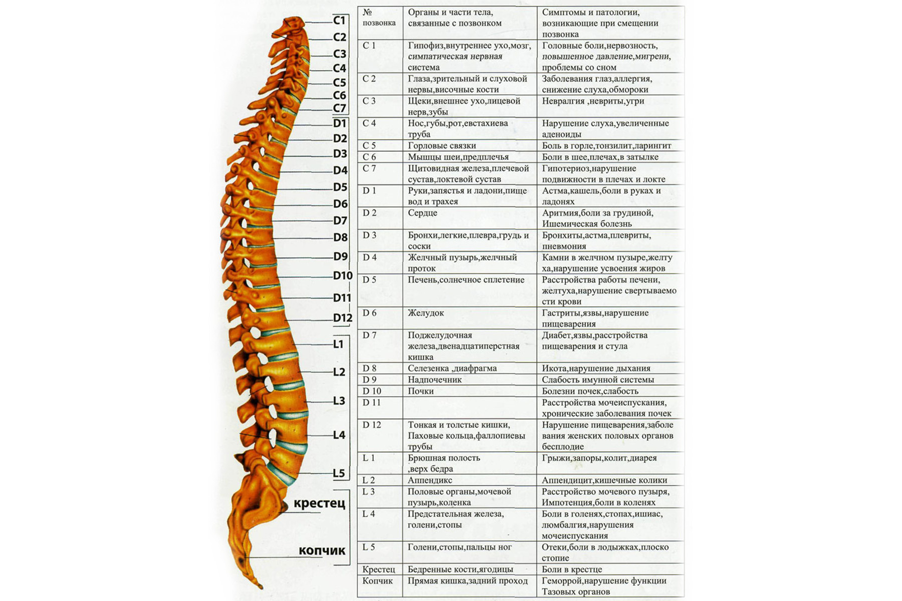Labsajūtas metodes :: Piededzināšana