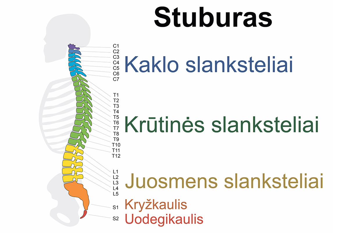Sveikatingumo metodai :: Stuburo tempimas