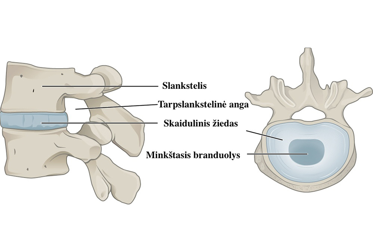 Sveikatingumo metodai :: Stuburo tempimas